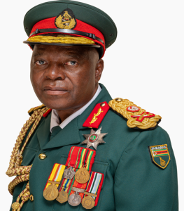 Organisation - Zimbabwe National Army