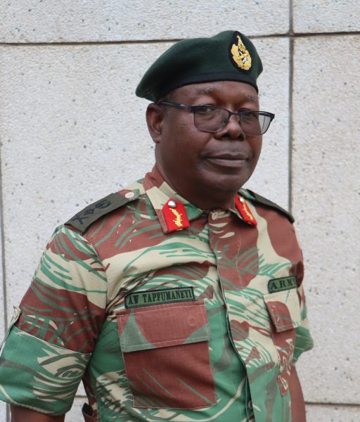 Organisation - Zimbabwe National Army